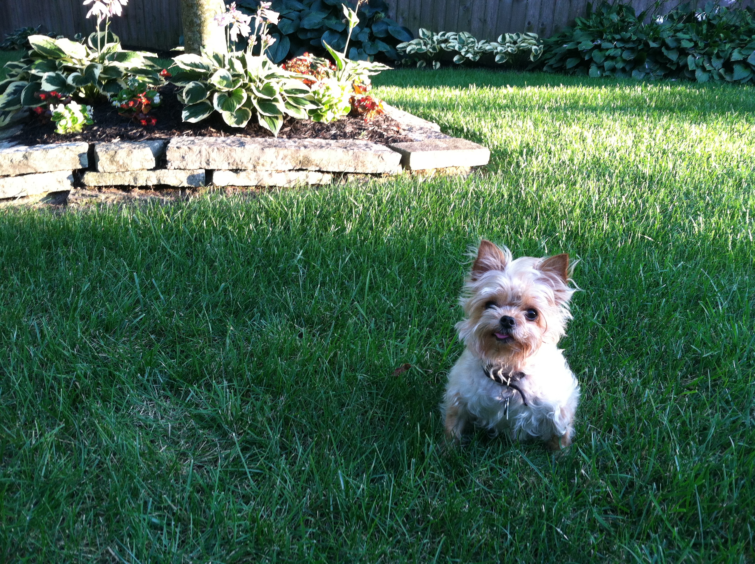 Bio Green Lawn Care Services Nationwide | Bio Green Fertilization ...